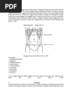 9 Regio Abdomen Dan Organ | PDF