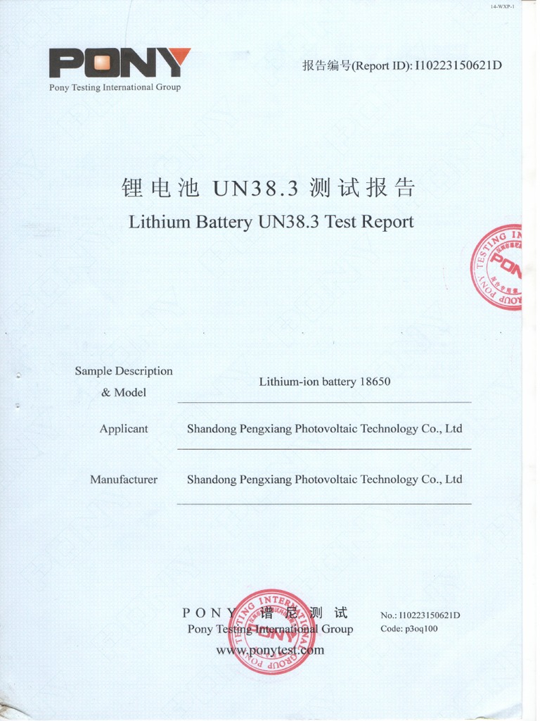 Pony+test Report English | PDF