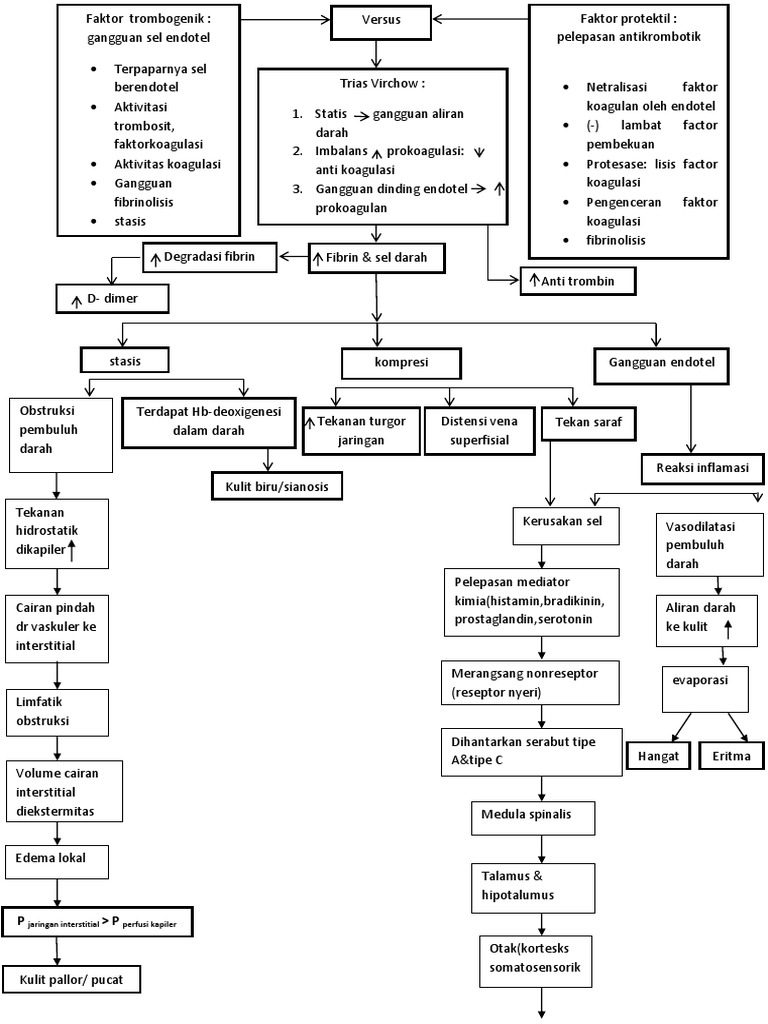 Pathway DVT Fix | PDF