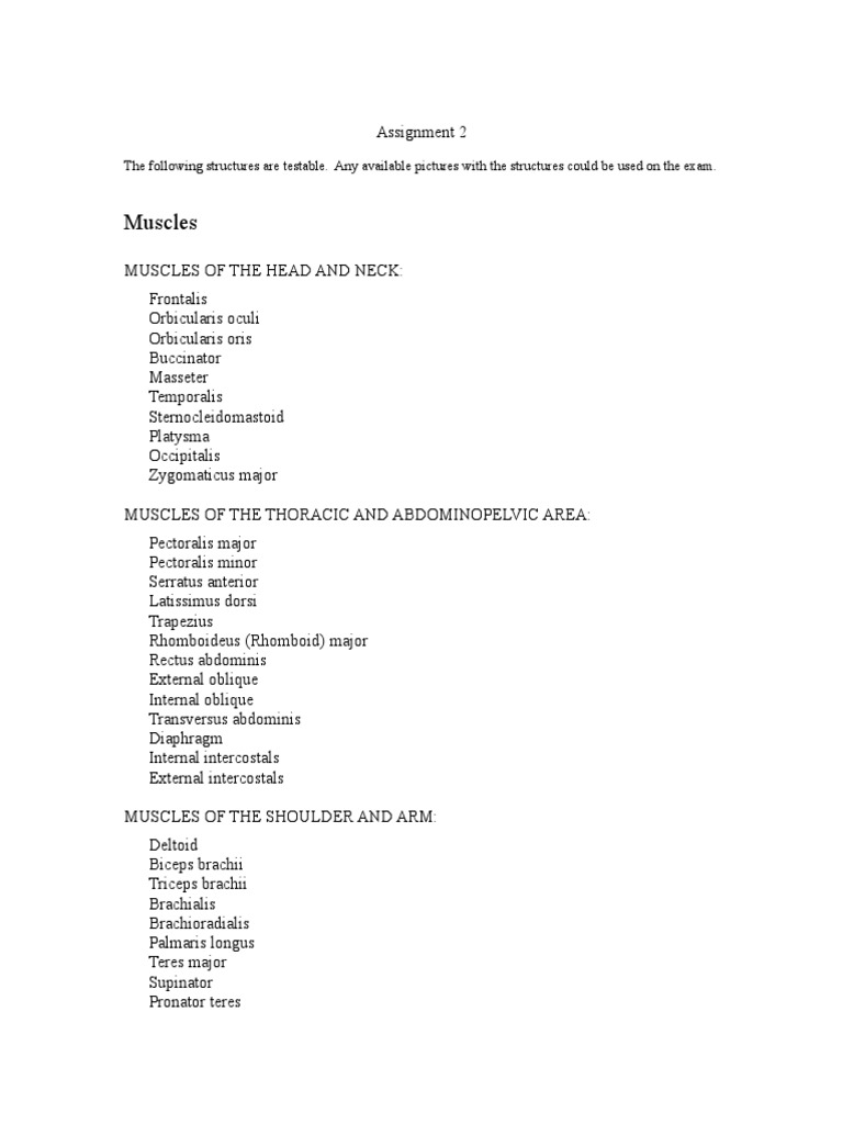 Assignment 2 | PDF | Spinal Cord | Musculoskeletal System