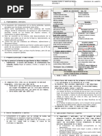 Memes y Videos de "Nah Creo" | PDF