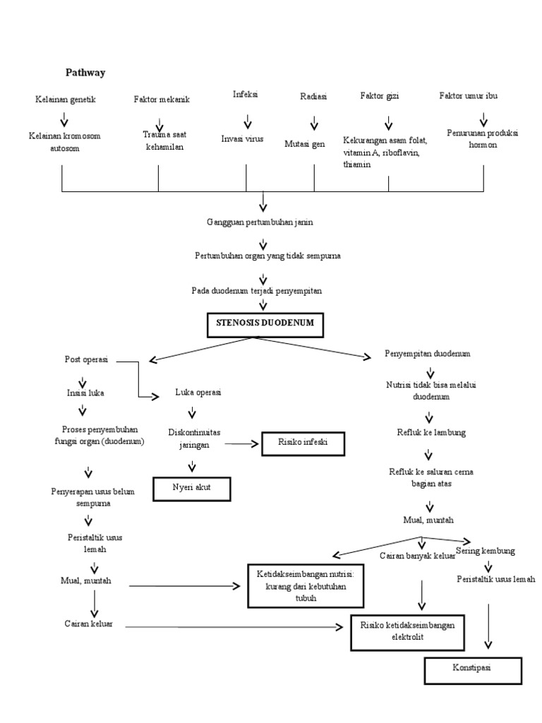 Pathway Stenosis Duodenum | PDF