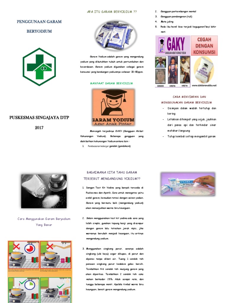 Leaflet Penggunaan Garam PKM Singajaya | PDF