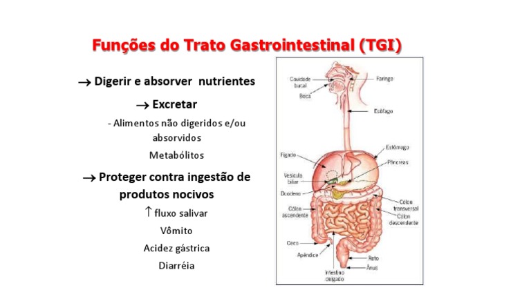 Funções Do TGI | PDF