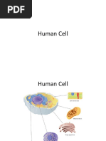 ACI 309R 05 Guide For Consolidation of Concrete PDF | PDF | Electric ...