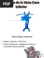 10SP-Desmayos y Escala AVDN | PDF | Medicina | Enfermedades y ...