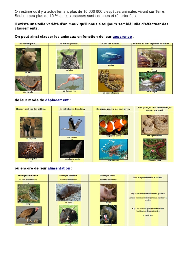 Classification des animaux pour CE1 | PDF | Squelette | Amphibiens
