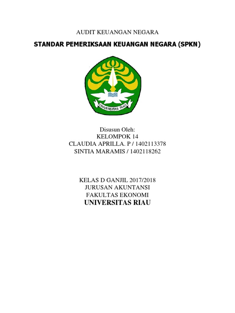 Standar Pemeriksaan Keuangan Negara (SPKN) | PDF