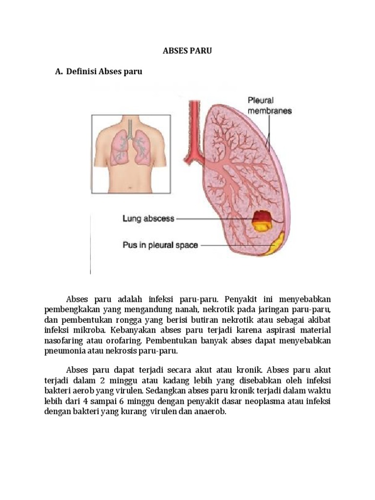 Abses Paru | PDF
