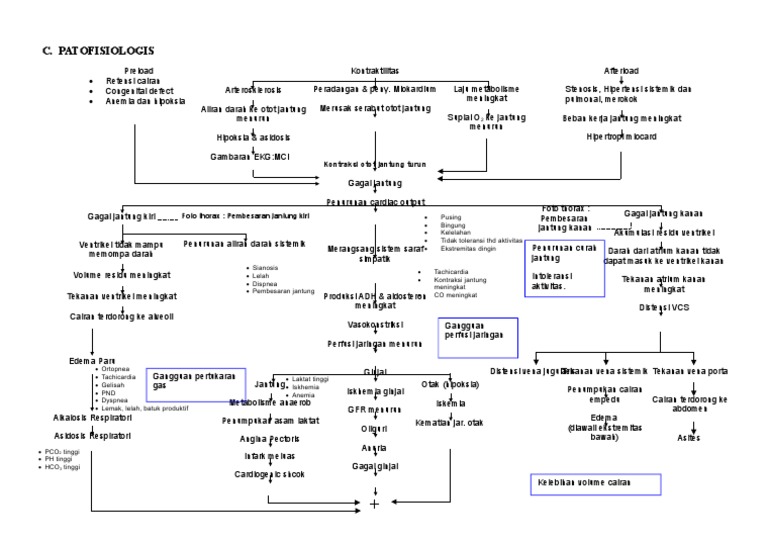Pathway CHF | PDF