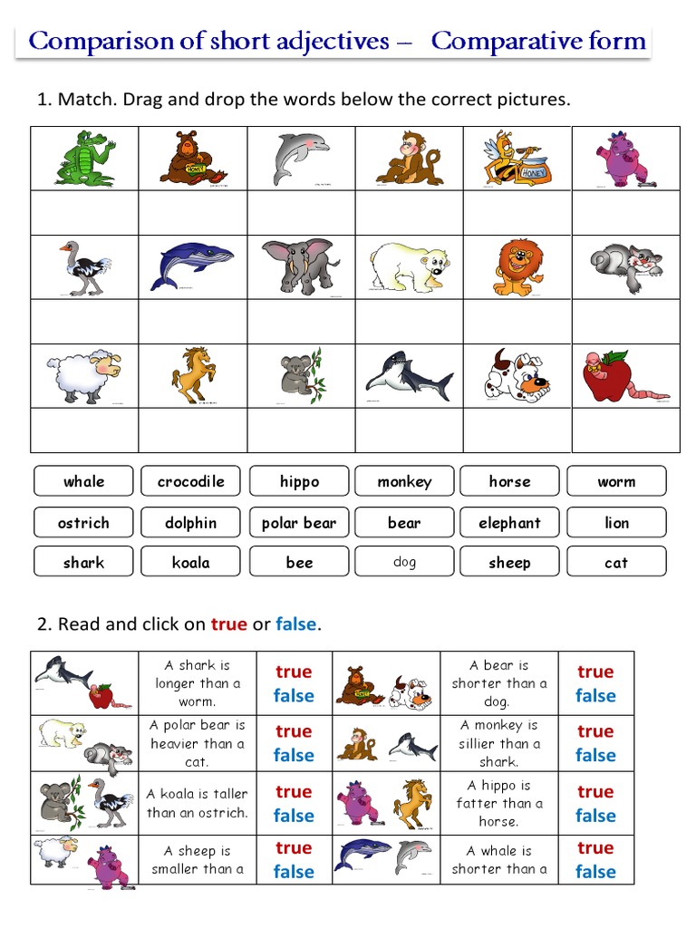 1 Comparison of Short Adjectives | PDF | Dolphin | Ungulates