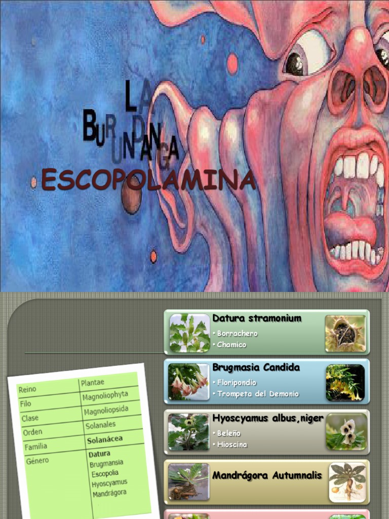 Presentación Escopolamina | PDF | Especialidades Medicas | Medicina CLINICA