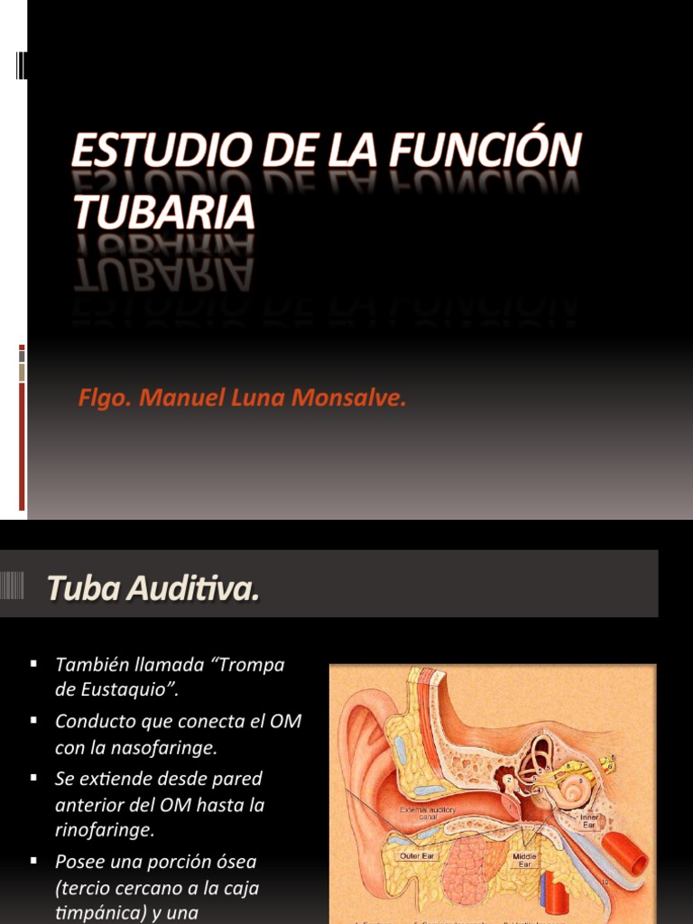 Estudio Funcion Tubaria PDF | PDF | Oído | Anatomía Estudio Funcion Tubaria PDF | PDF | Oído | Anatomía