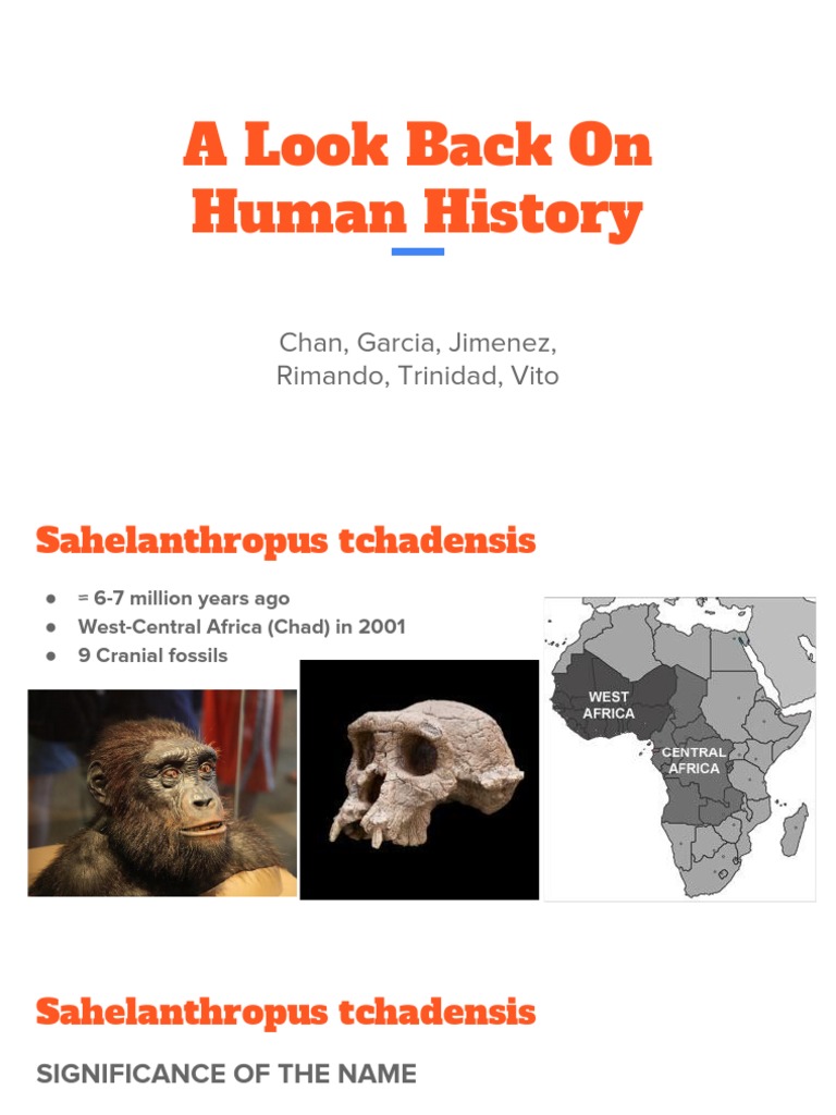 A Look at Early Human Ancestors | PDF | Science | Paleontology