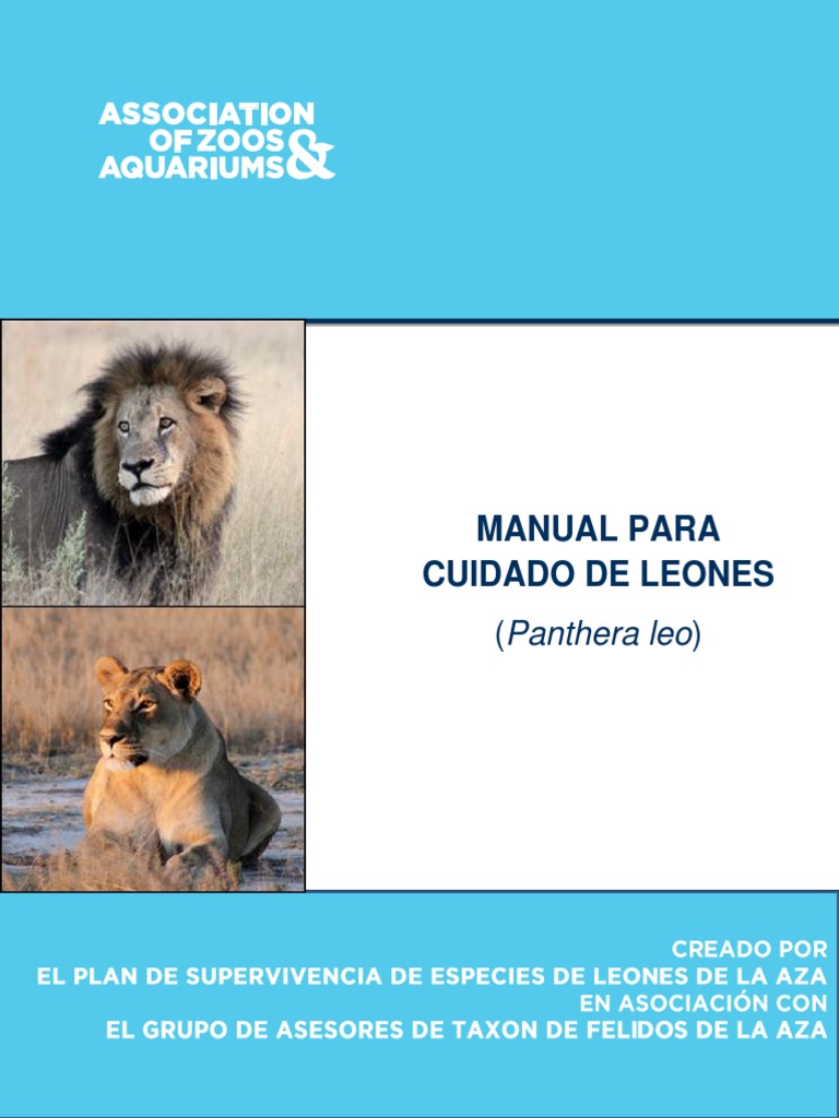 Lion Care Manual Spanish Alpza PDF | PDF