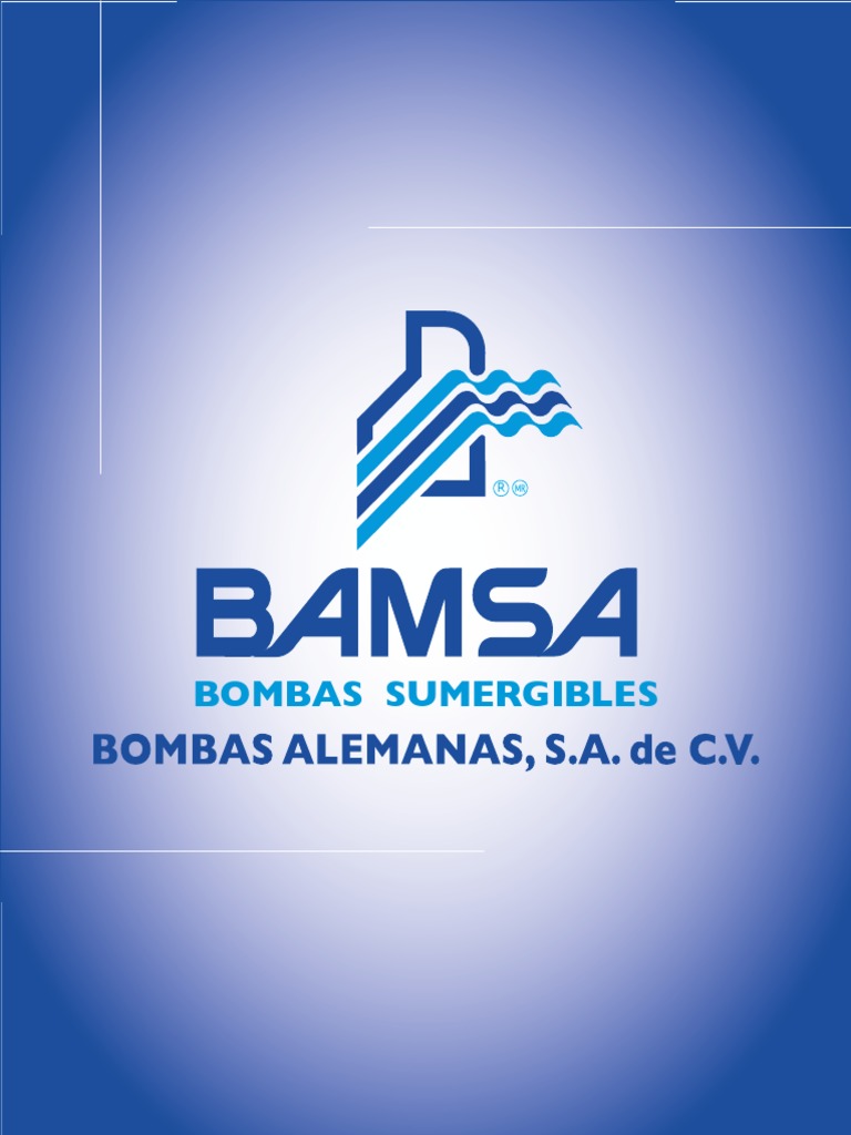 Carpeta Tecnica BAMSA PDF | PDF