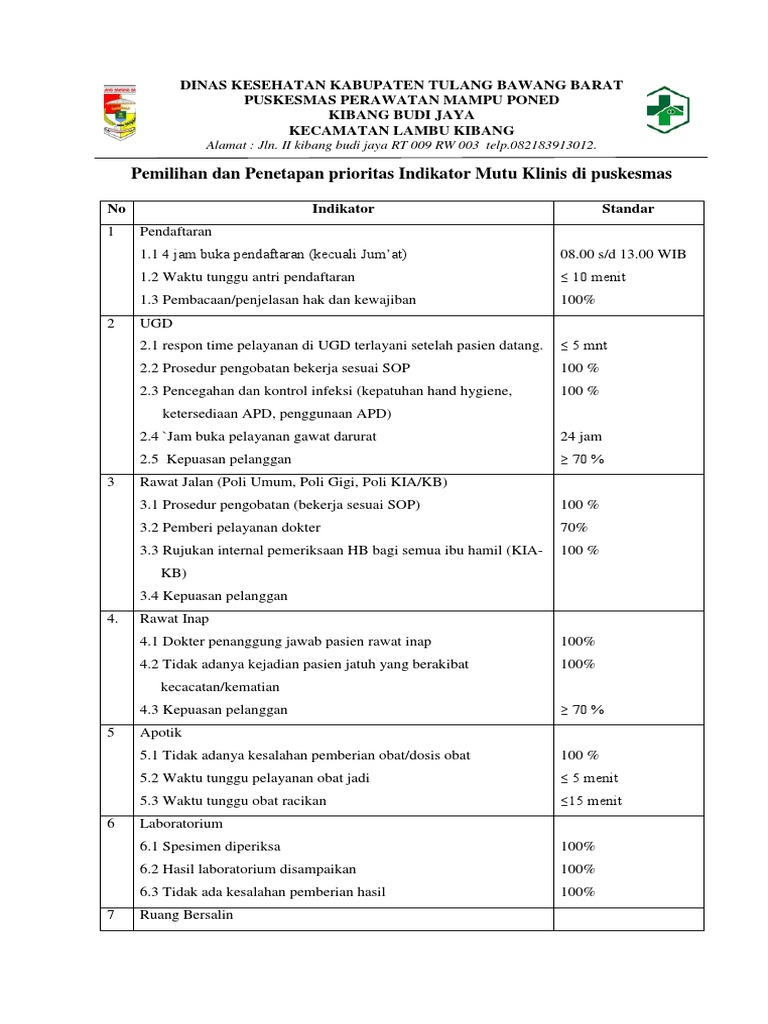 Indikator Mutu Puskesmas 2024 | PDF