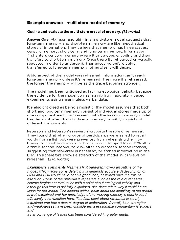 Example Answers MSM | PDF | Memory | Biological Processes