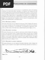 Posiciones Cadavéricas en Medicina Legal | PDF | Términos anatómicos de ...
