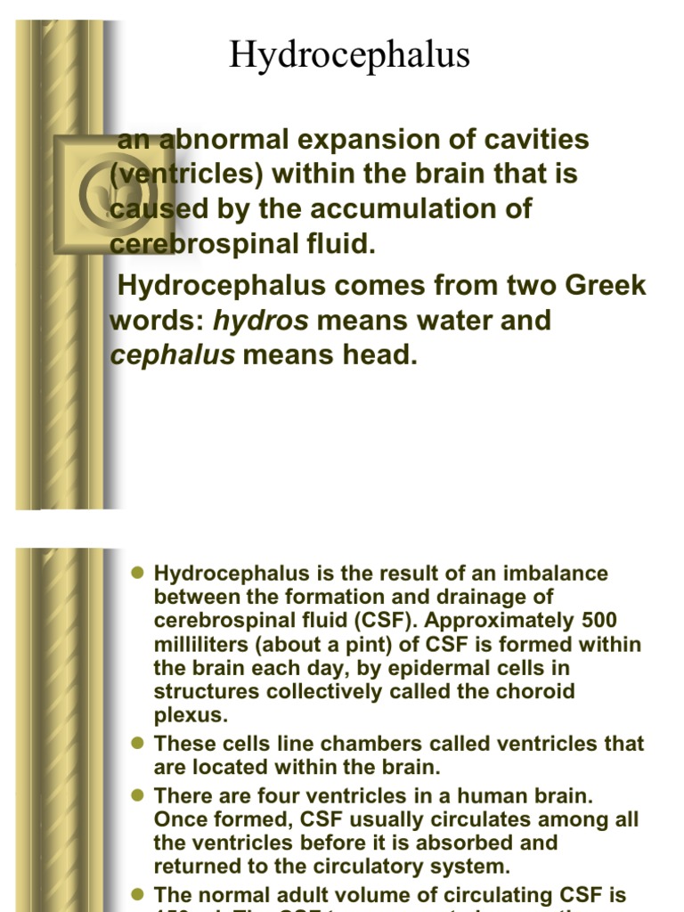 Hydrocephalus | Cerebrospinal Fluid | Organ (Anatomy)