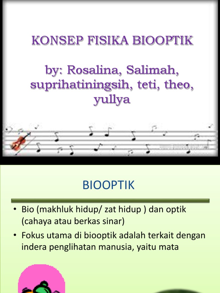 Konsep Fisika Biooptik Revisi | PDF