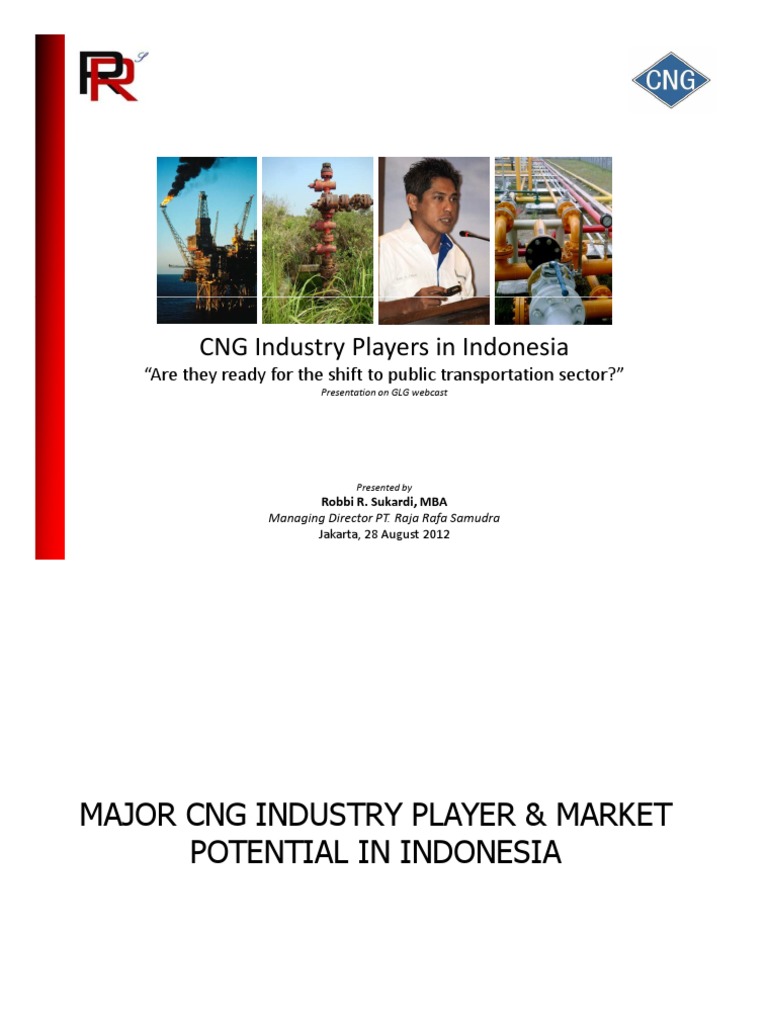 CNG Market Dynamics in Indonesia | PDF | Fossil Fuels | Natural Gas
