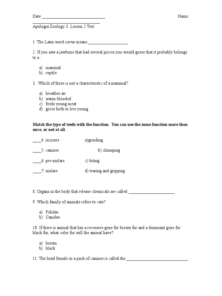 Apologia Zoology 3 Lesson 2 Test | PDF | Canidae | Dogs