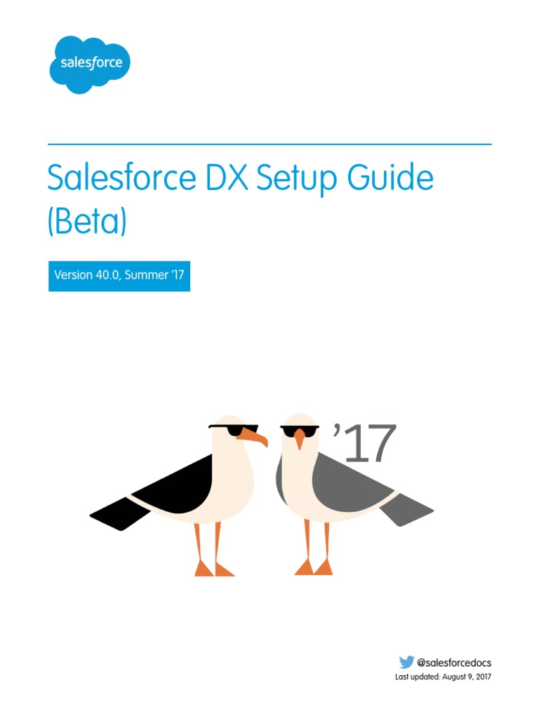 SFDX Setup | PDF | Command Line Interface | Salesforce.Com