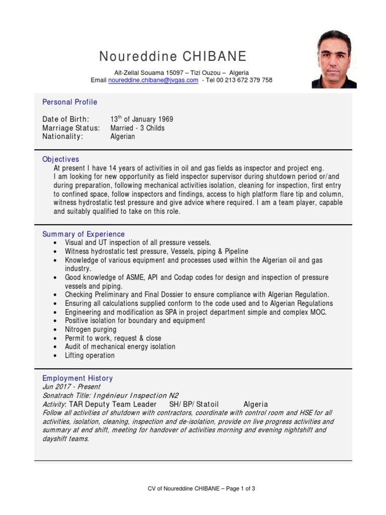 Noureddine Chibane CV PDF | PDF | Algeria | Gases