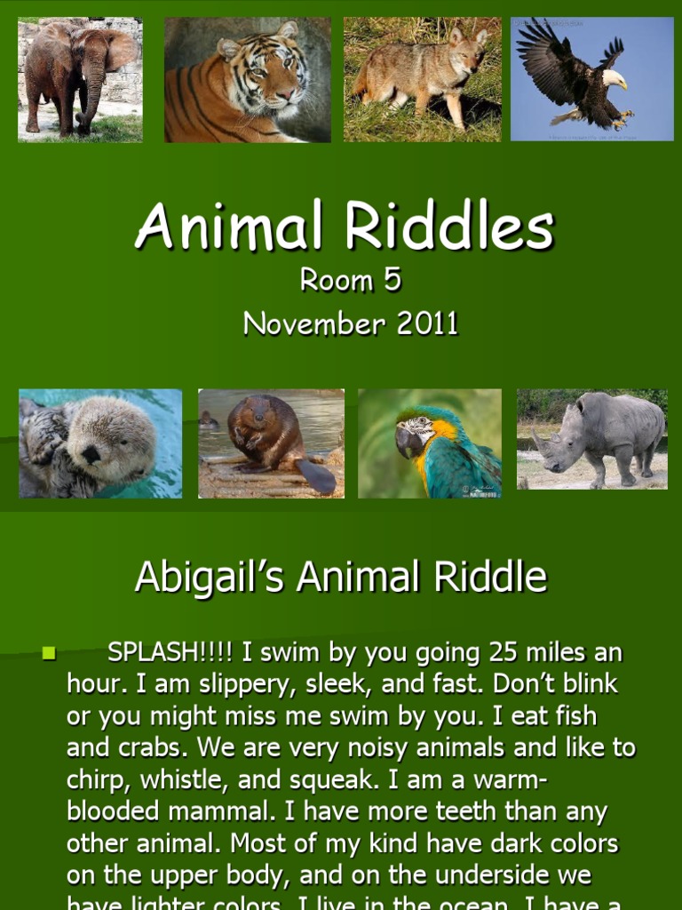 Engaging Animal Riddles for Kids | PDF | Elephant | Nature