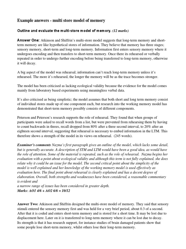 Example Answers MSM | PDF | Memory | Limbic System