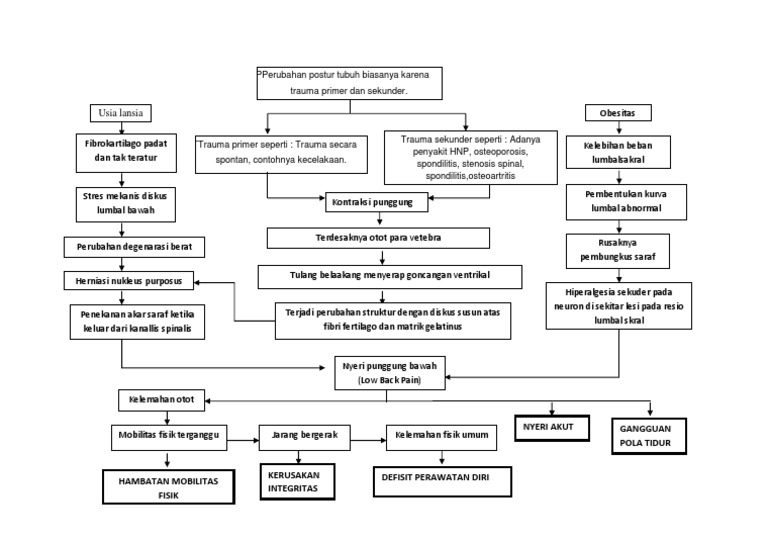 Pathway Lbp Pdf