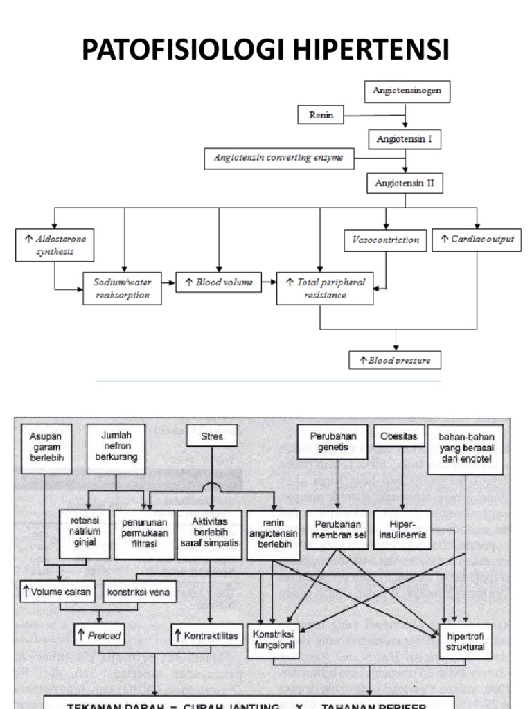 Patofisiologi, Tanda Dan Gejala Klinis Hipertensi | PDF