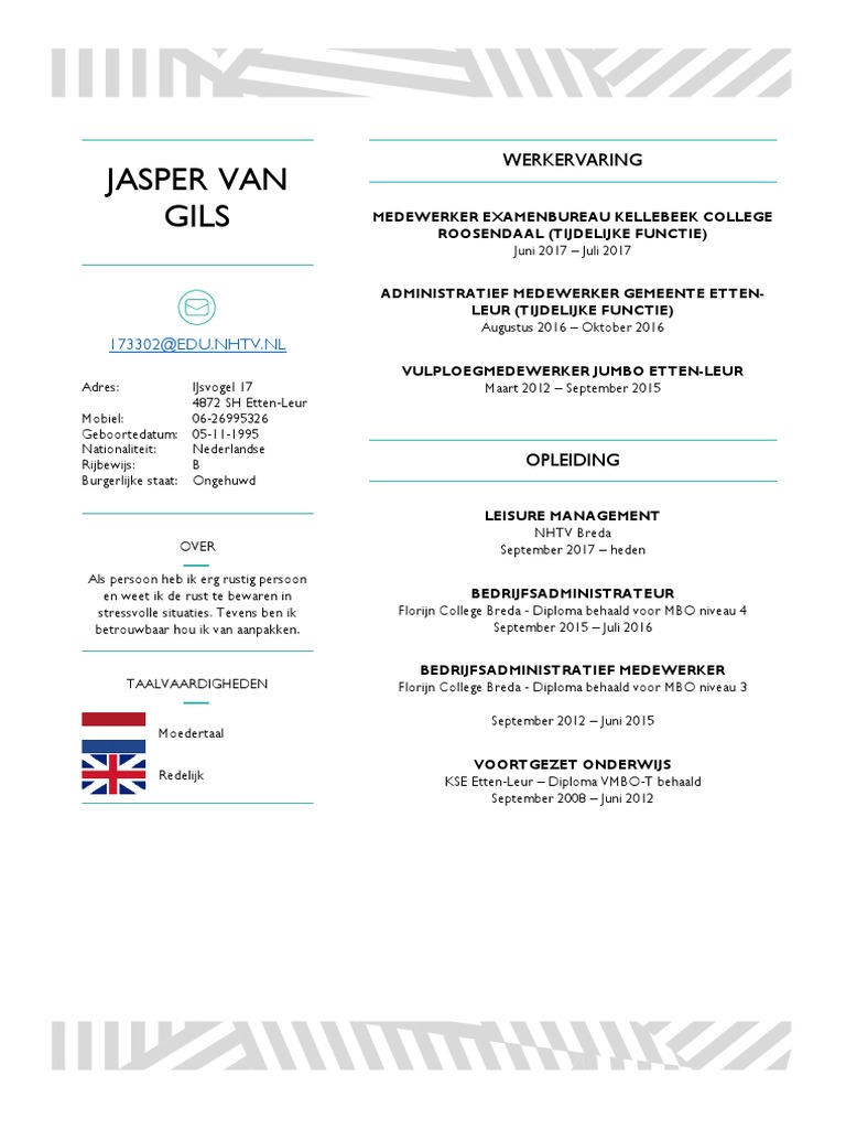 CV Jasper Van Gils | PDF