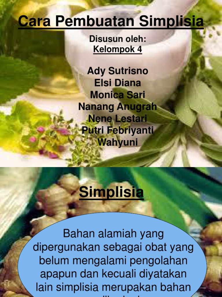 Cara Pembuatan Simplisia | PDF | Griya & Taman