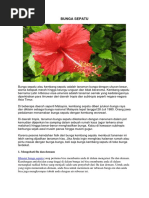 Morfologi Dan Anatomi Bunga Sepatu | PDF