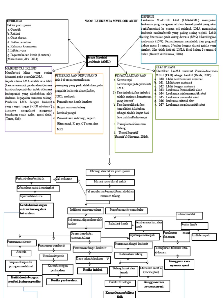 Woc Leukemia Myeloid Akut | PDF