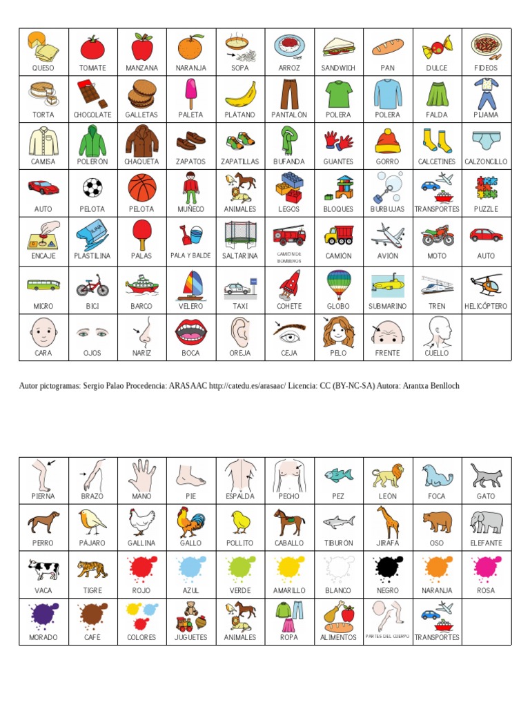 Actividad de Categorización PDF | PDF