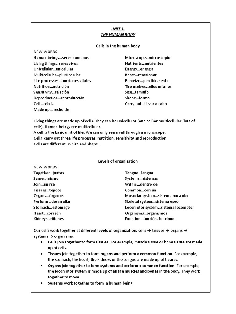 Understanding the Human Body Systems | PDF | Human Musculoskeletal ...