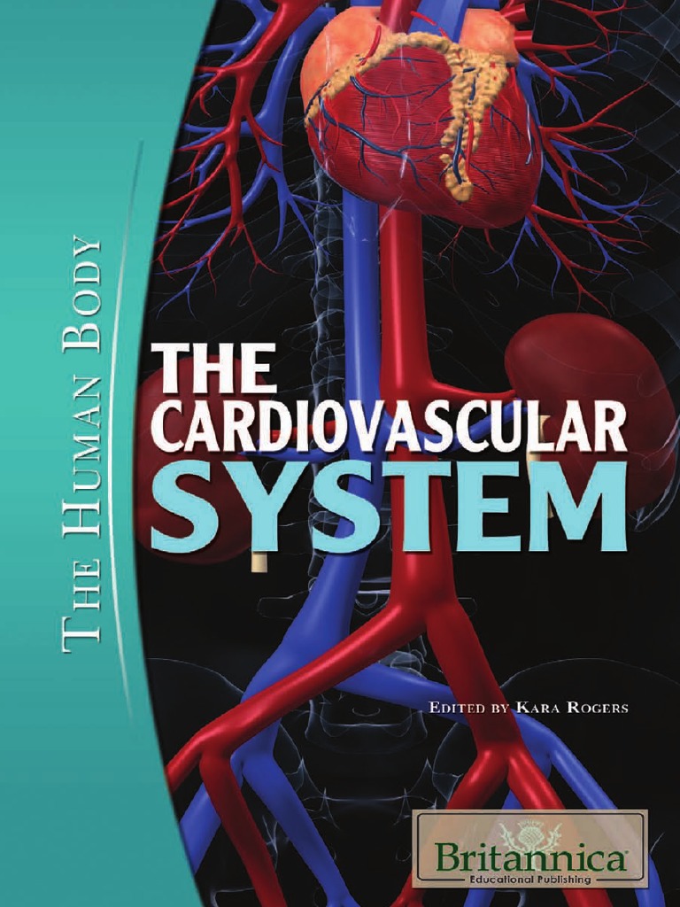 The Cardiovascular System Pdf