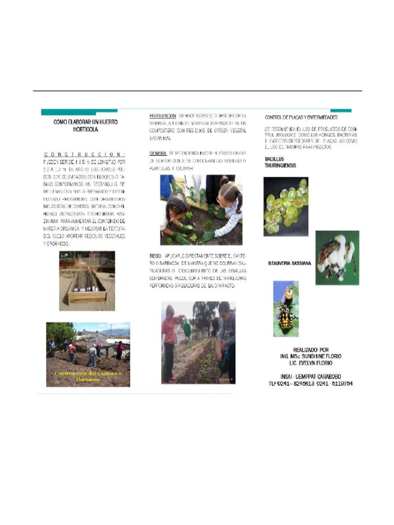 Triptico Huertos Escolares PDF | PDF
