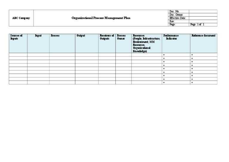 Org Process MGMT Plan Blank CL1 | PDF