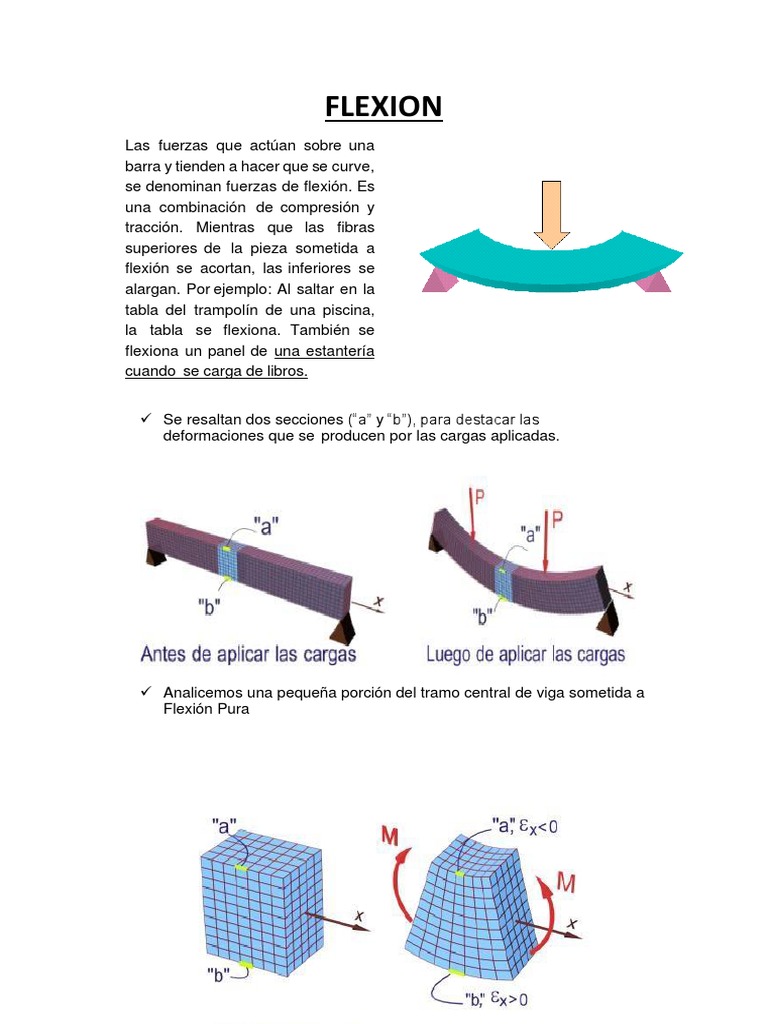 Flexion Word | PDF | Ciencia y matemáticas
