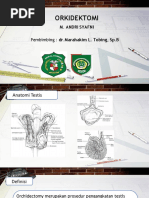 Contusio Musculorum | PDF