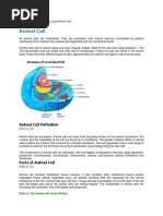 Mind Map | PDF | Cell (Biology) | Cell Membrane