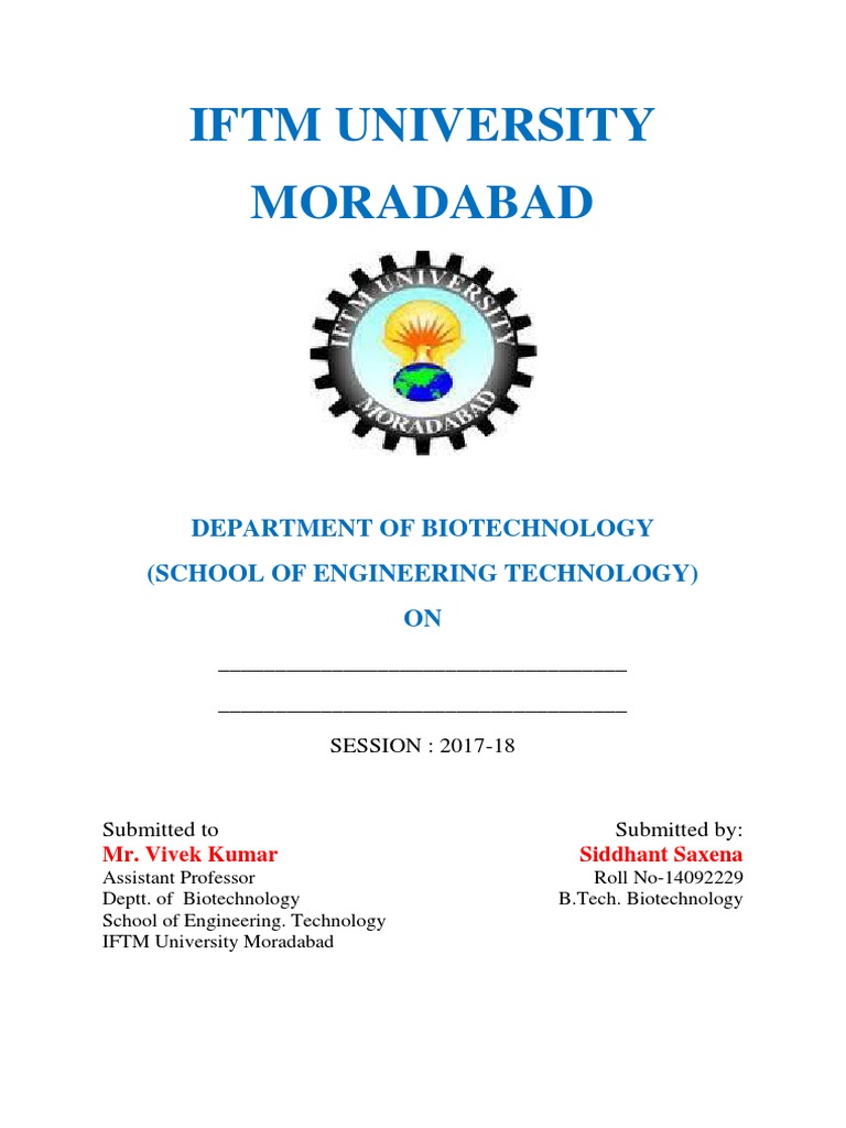 Iftm University | PDF