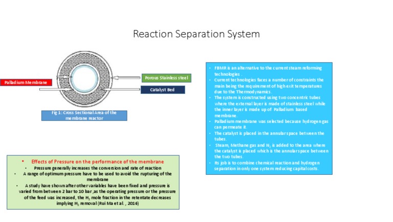 Reaction Separation System | PDF | Membrane | Energy Technology