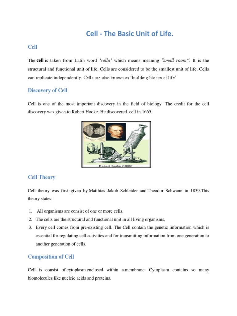 The Basic Building Blocks of Life: Cells | PDF | Cell (Biology) | Organisms