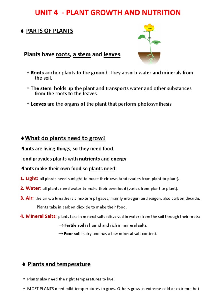 Plant Growth and Nutrition Essentials | PDF | Plants | Root