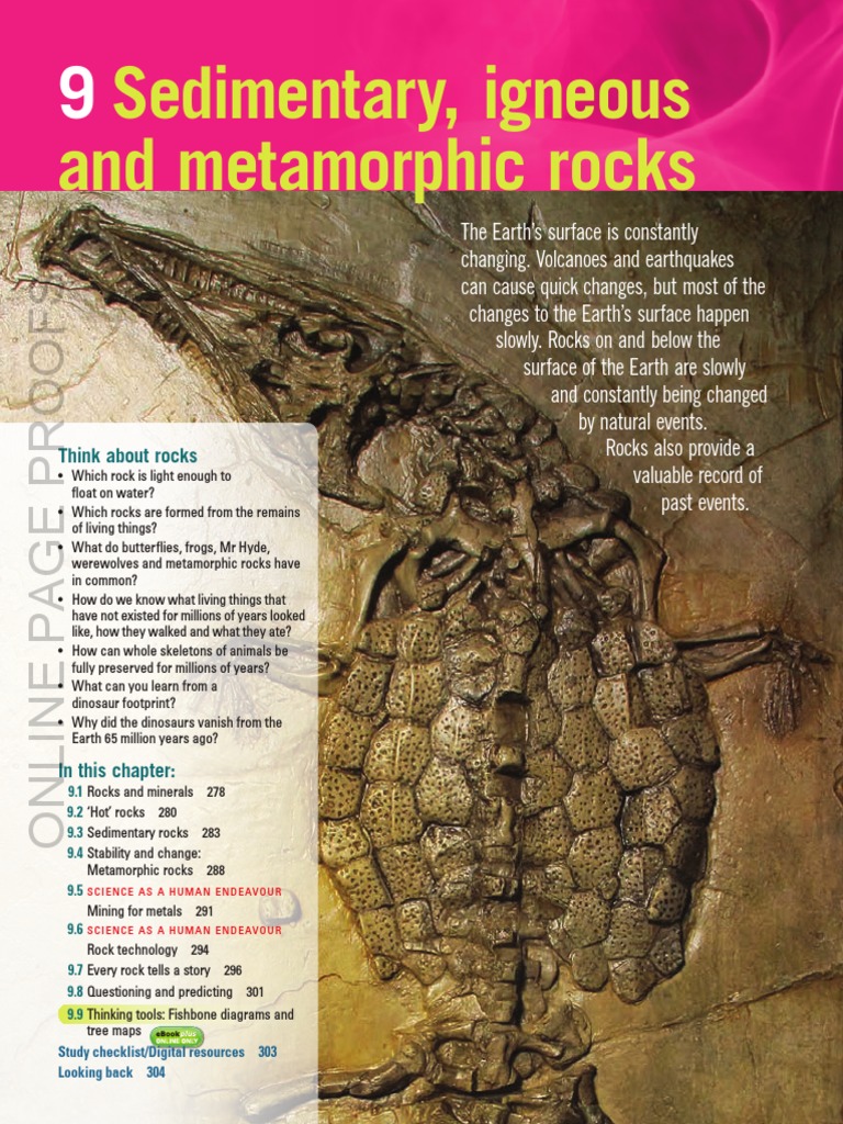 Understanding Rocks: Types and Formation | PDF | Sedimentary Rock ...
